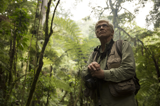 Renowned Primatologist Russ Mittermeier Becomes First Person in History ...