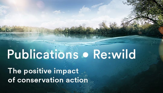 Publications • Re:wild | The positive impact of conservation action