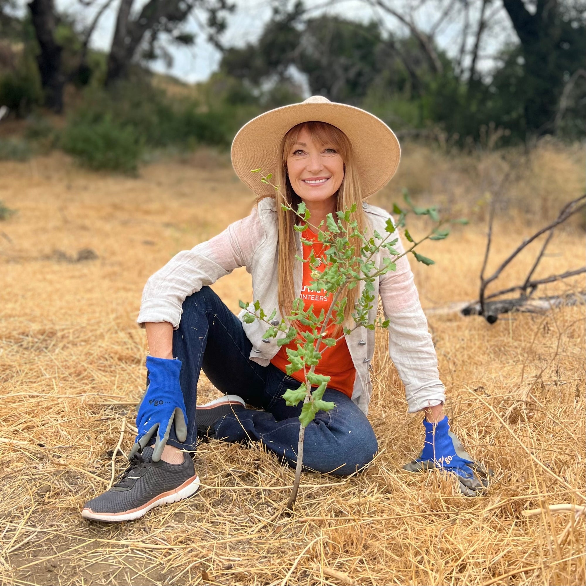 Rewilding California: Project reaches halfway point in planting over ...
