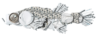 Lost Fishes | rewild.org | Re:wild