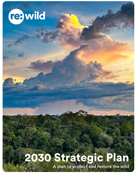 Our Plan • Re:wild | 100% for Biodiversity | rewild.org