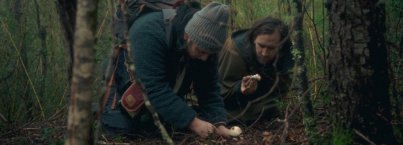 A big break in the case of the lost Big Puma Fungus | Re:wild