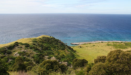 Next Eight Island-Ocean Ecosystems Confirmed for Global Ridge-to-Reef ...