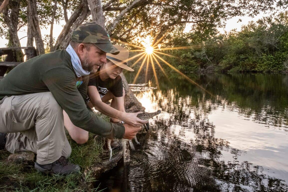 About Re:wild: Our Mission, Impact & Team | rewild.org