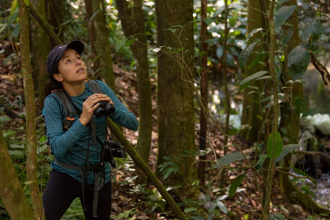 Careers in Conservation | rewild.org | Re:wild