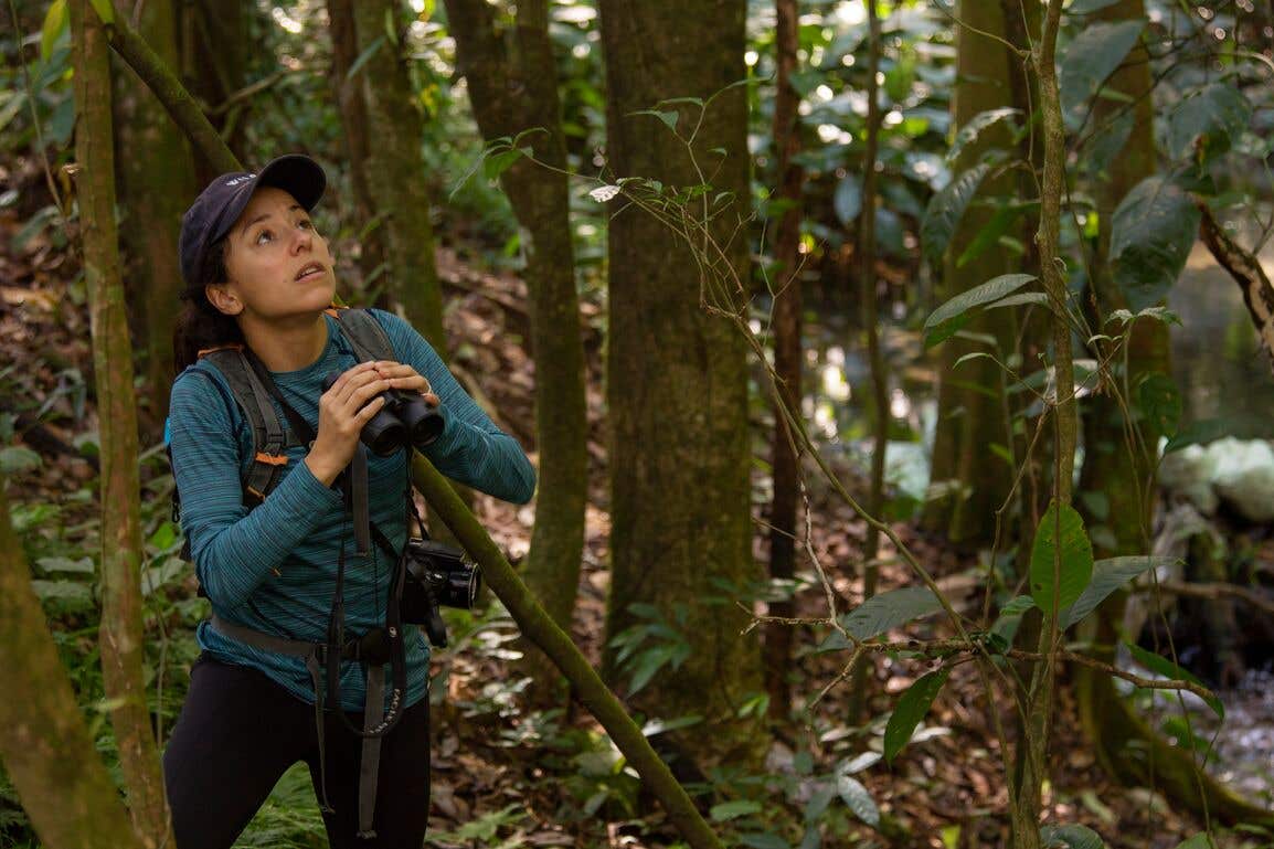 Careers in Conservation | rewild.org | Re:wild