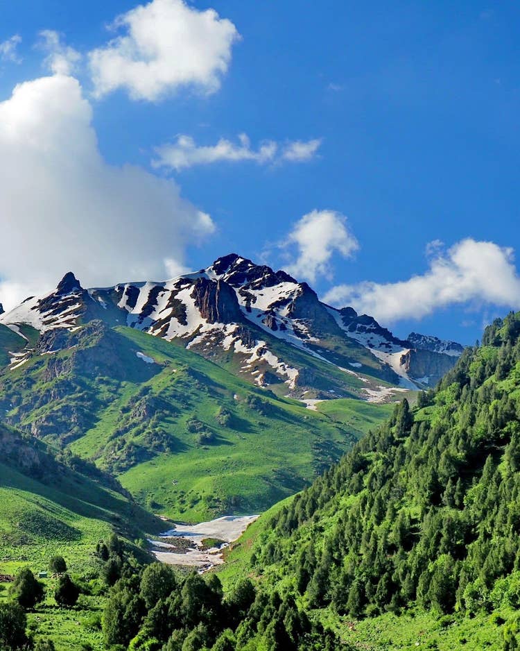 Comprehensive update to the world’s biodiversity hotspots begins