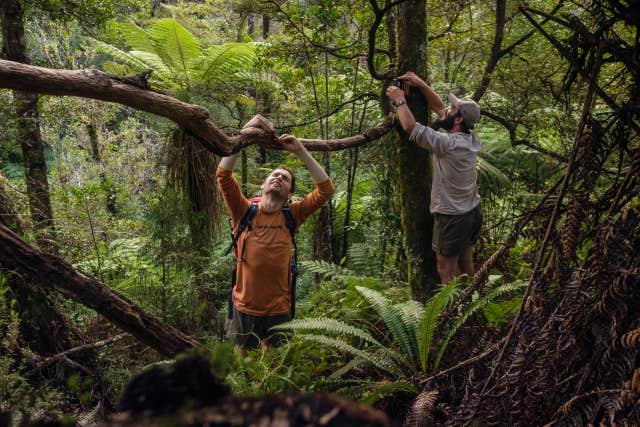 The Search for Lost Species | rewild.org | Re:wild