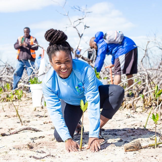 About Re:wild: Our Mission, Impact & Team | rewild.org