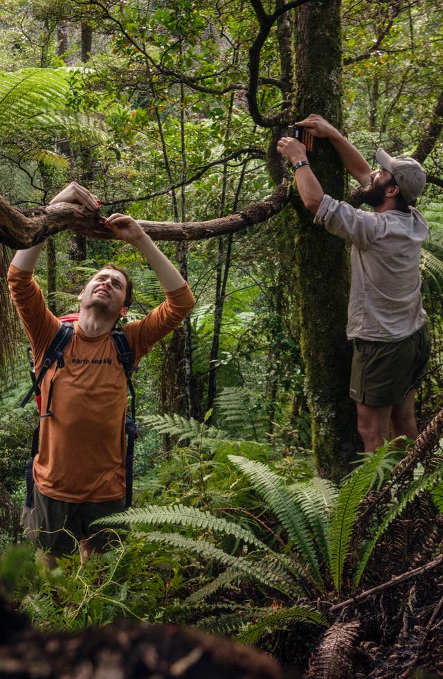 Colossal x Re:wild: Advancing Conservation Innovation | rewild.org